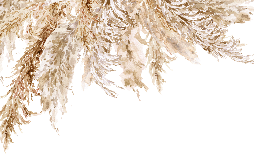 Selena Estrada - ¡MIS XV AÑOS!